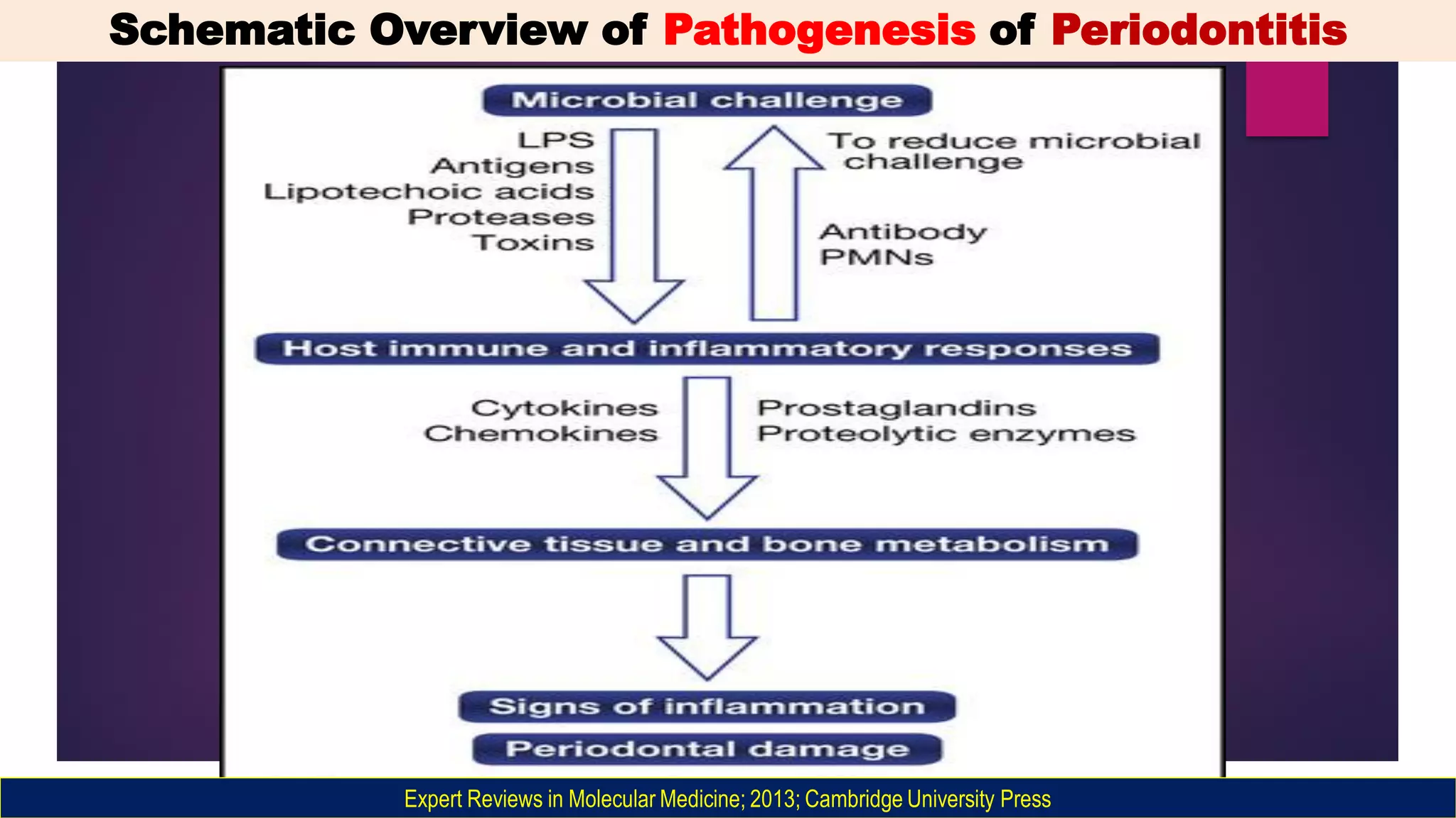 periodonta Disease pathogenesis | PDF