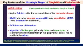 periodonta Disease pathogenesis | PDF