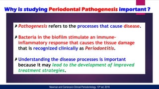 periodonta Disease pathogenesis | PDF