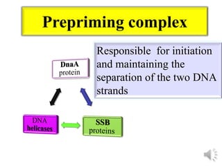 Prof._Moushira_DNA replication.pdf