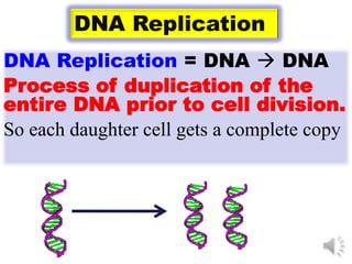 Prof._Moushira_DNA replication.pdf