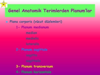Prof.Dr. Burcu ONUK-Osteologia (1).ppt