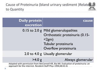 Prof. e. sarhan.work up of_proteinuric_patients | PDF