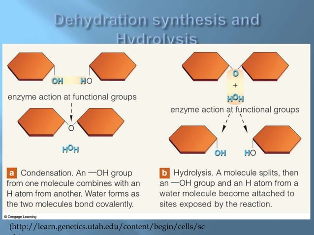Prof 3a presentation | PPT