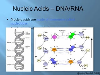 Prof 3a presentation | PPT