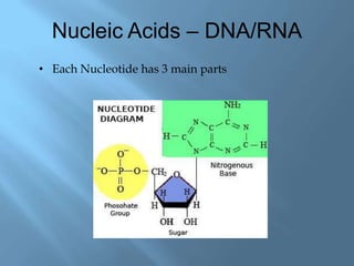 Prof 3a presentation | PPT