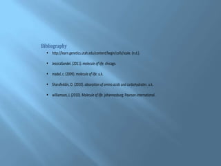 Prof 3a presentation | PPT