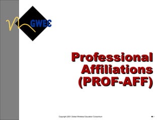 Prof Aff | PPT