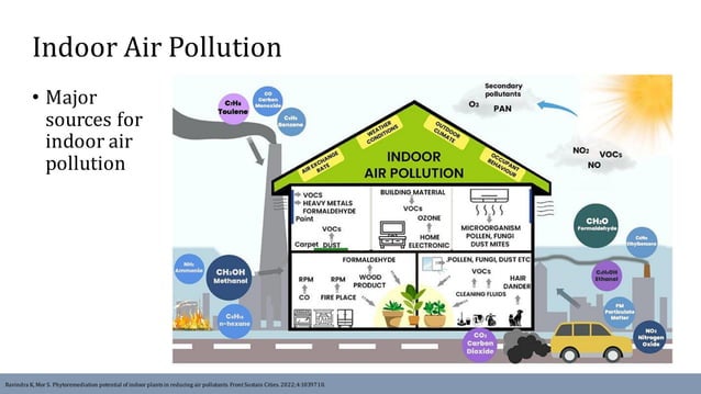 Prof Agus - Outdoor dan Indoor Pollution dan Kesehatan Paru.pdf