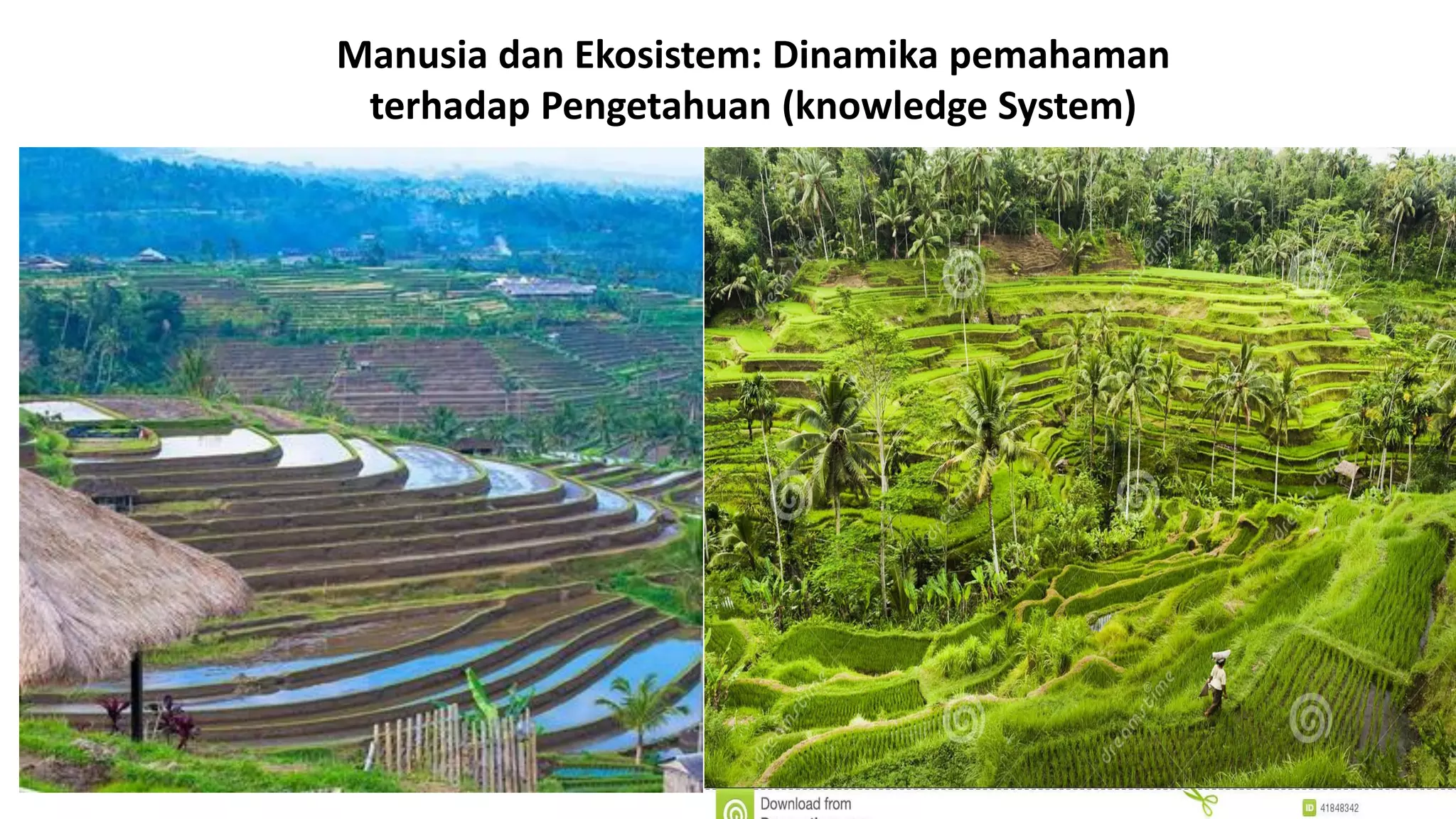 Kontribusi kearifan lokal dalam mengembangkan konsep kota hutan IKN | PPT