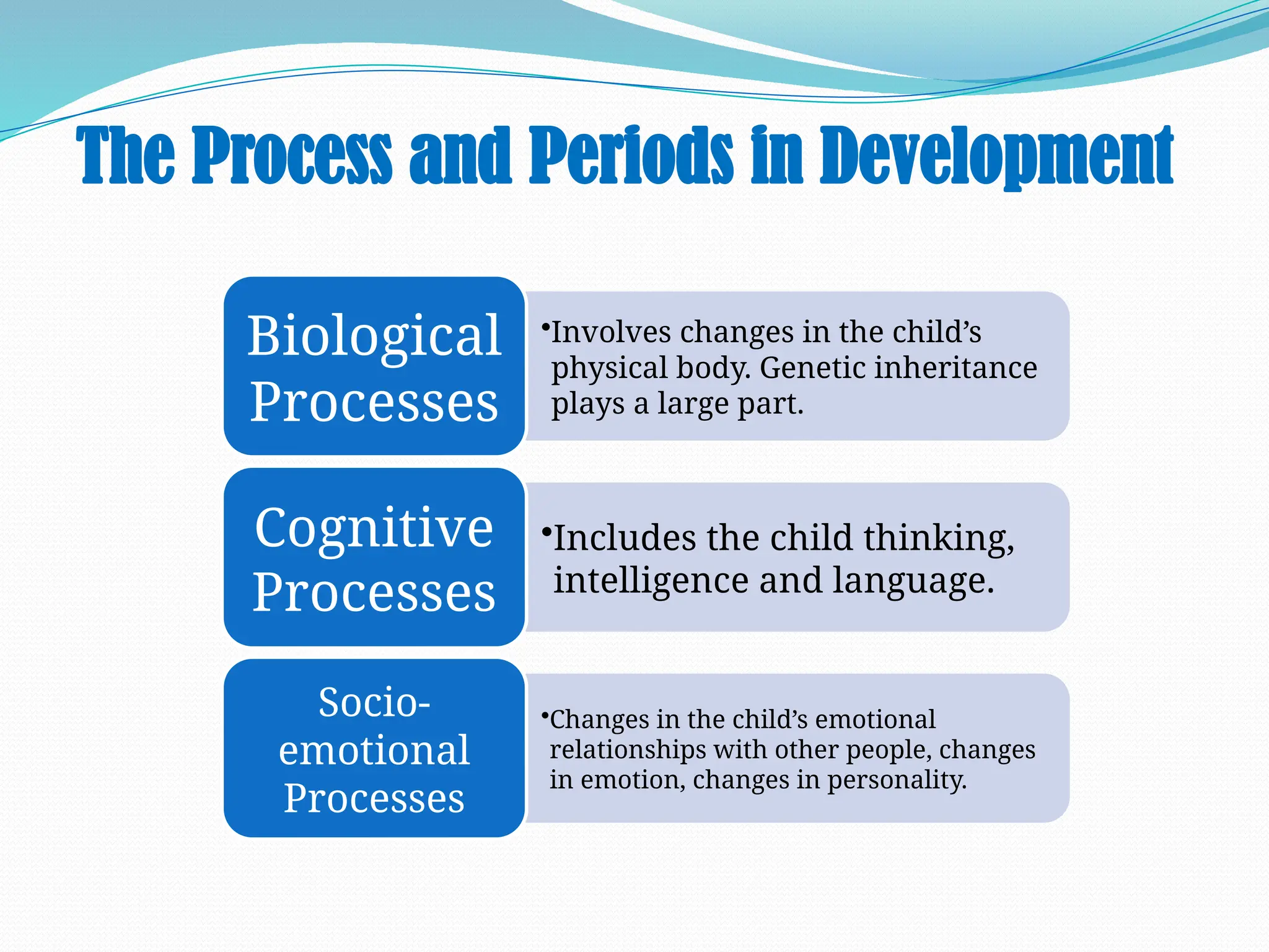 ProfEd1-Report (2) cognitive development | PPTX