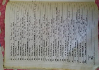 Prof ed & soc scie~ | PPT