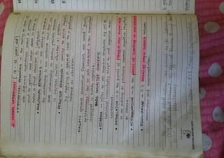 Prof ed & soc scie~ | PPT