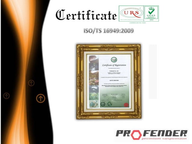 Profender Presentation | PPT