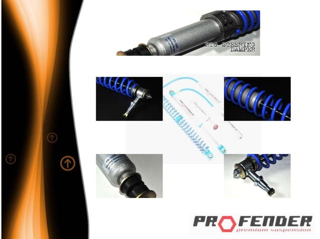 Profender presentation | PPT