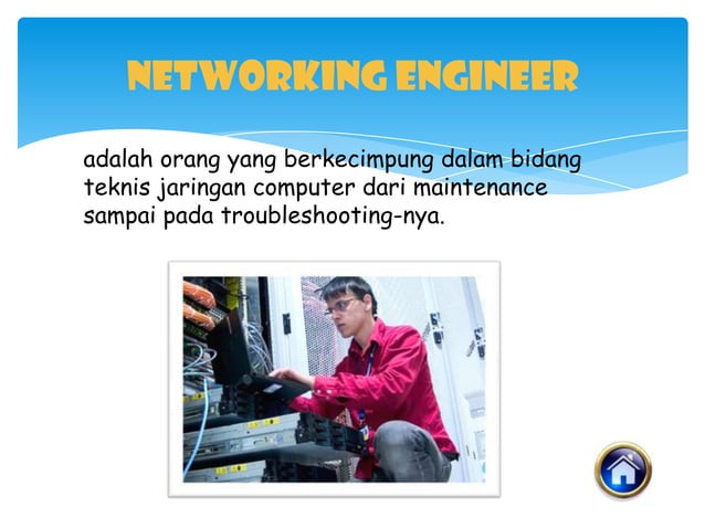 Profesi Dalam Bidang IT | PPTX