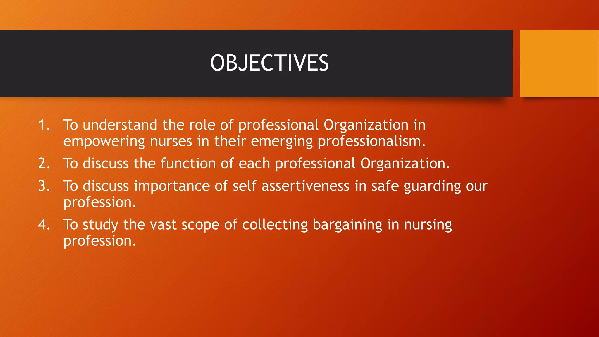 Profesional organigation | PPTX