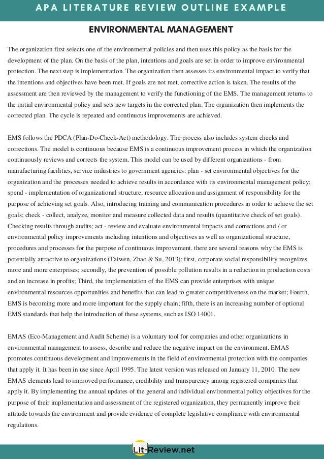 Professional APA Literature Review Outline Example