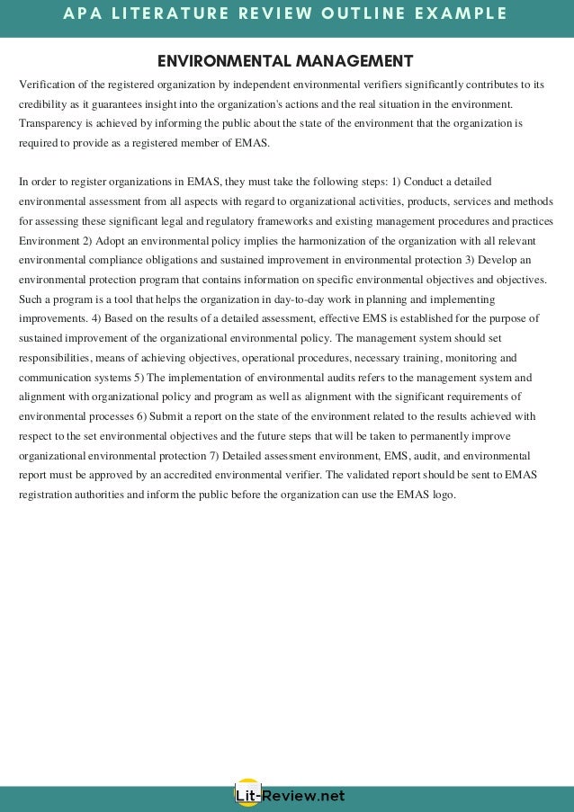 Professional APA Literature Review Outline Example