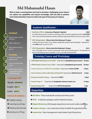 Professional cv mahmud | PDF