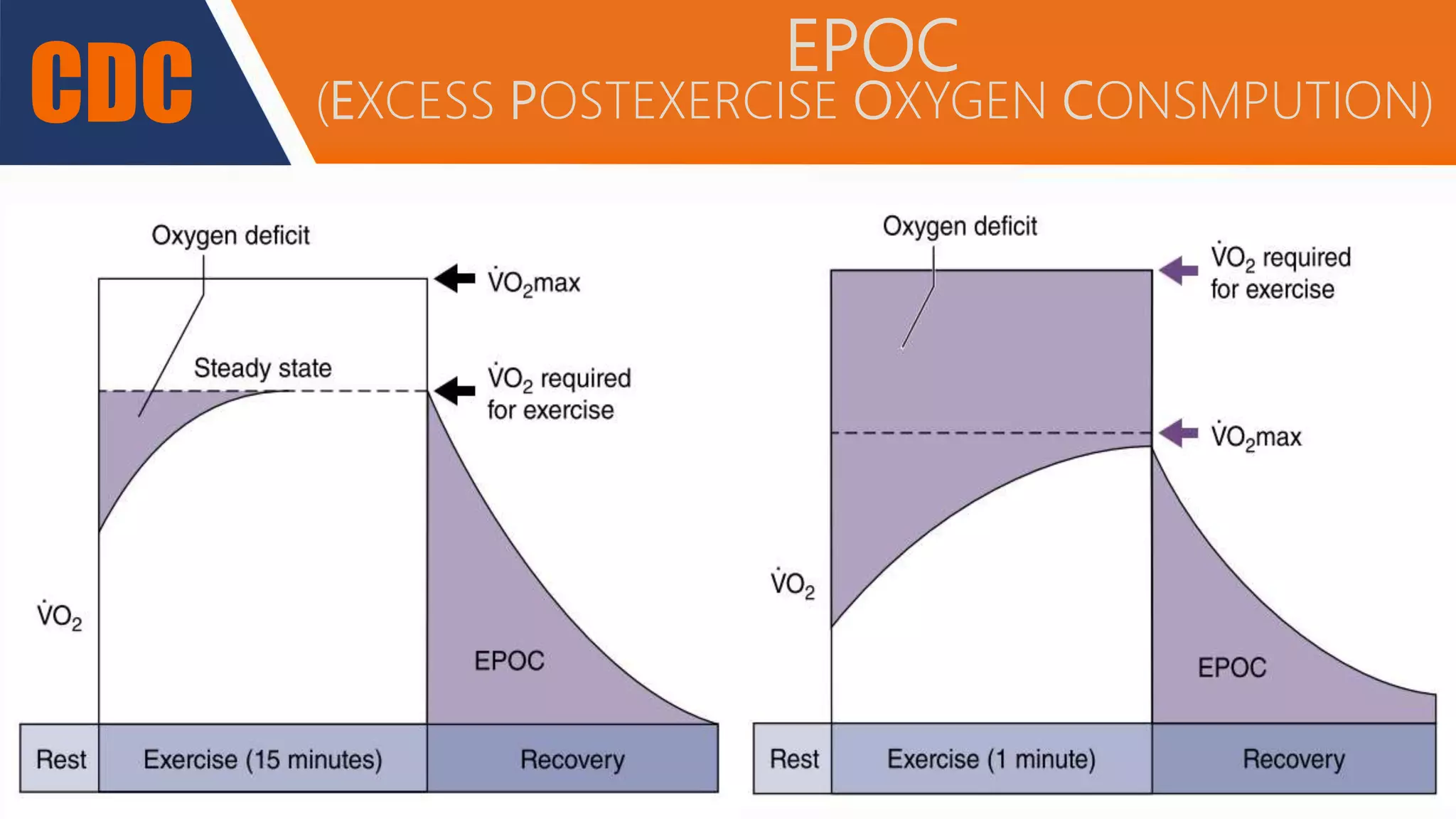 cardiovascular training program design | PPTX