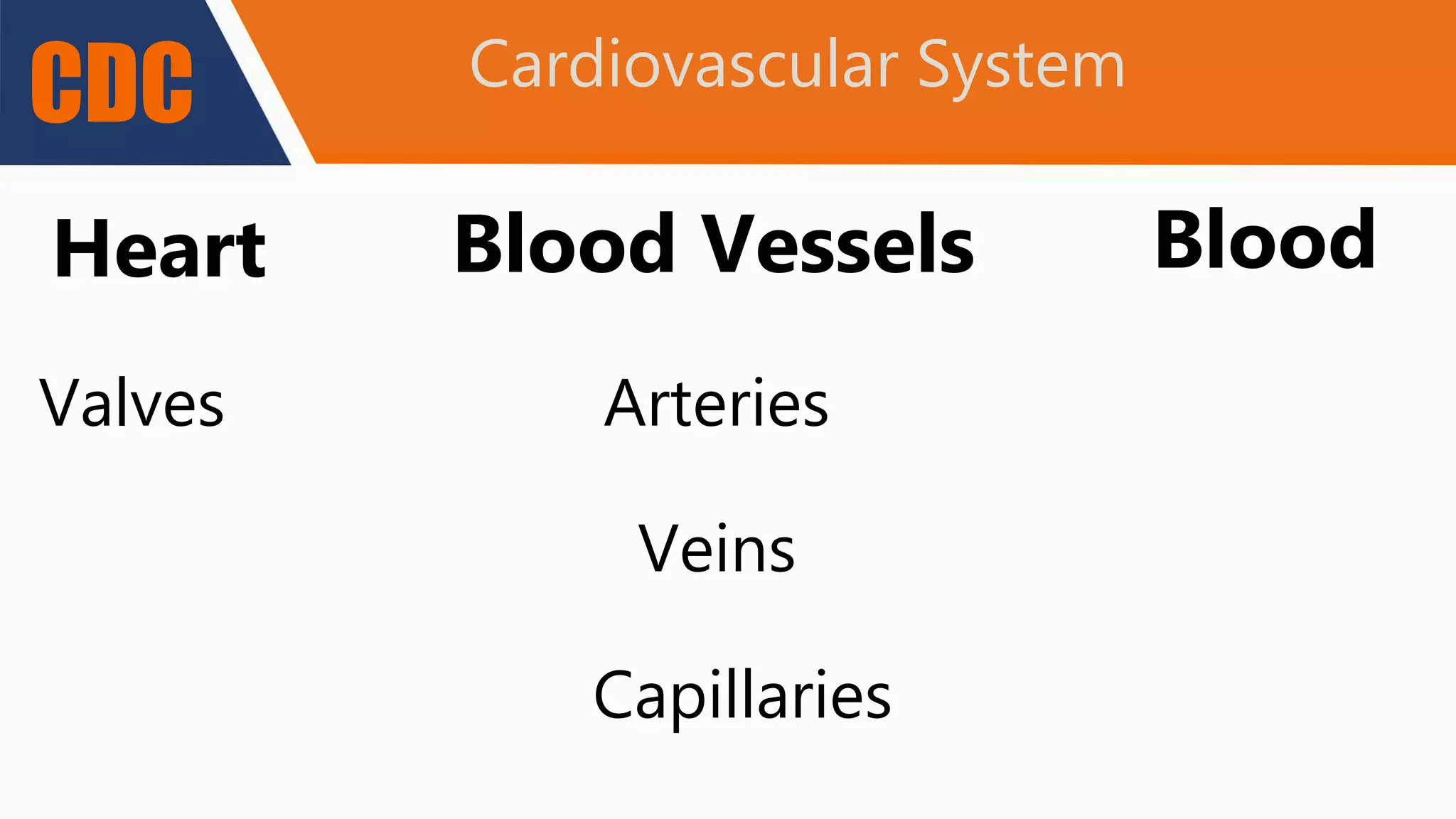 cardiovascular training program design | PPTX