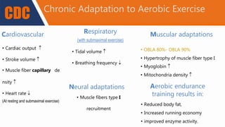 cardiovascular training program design | PPTX