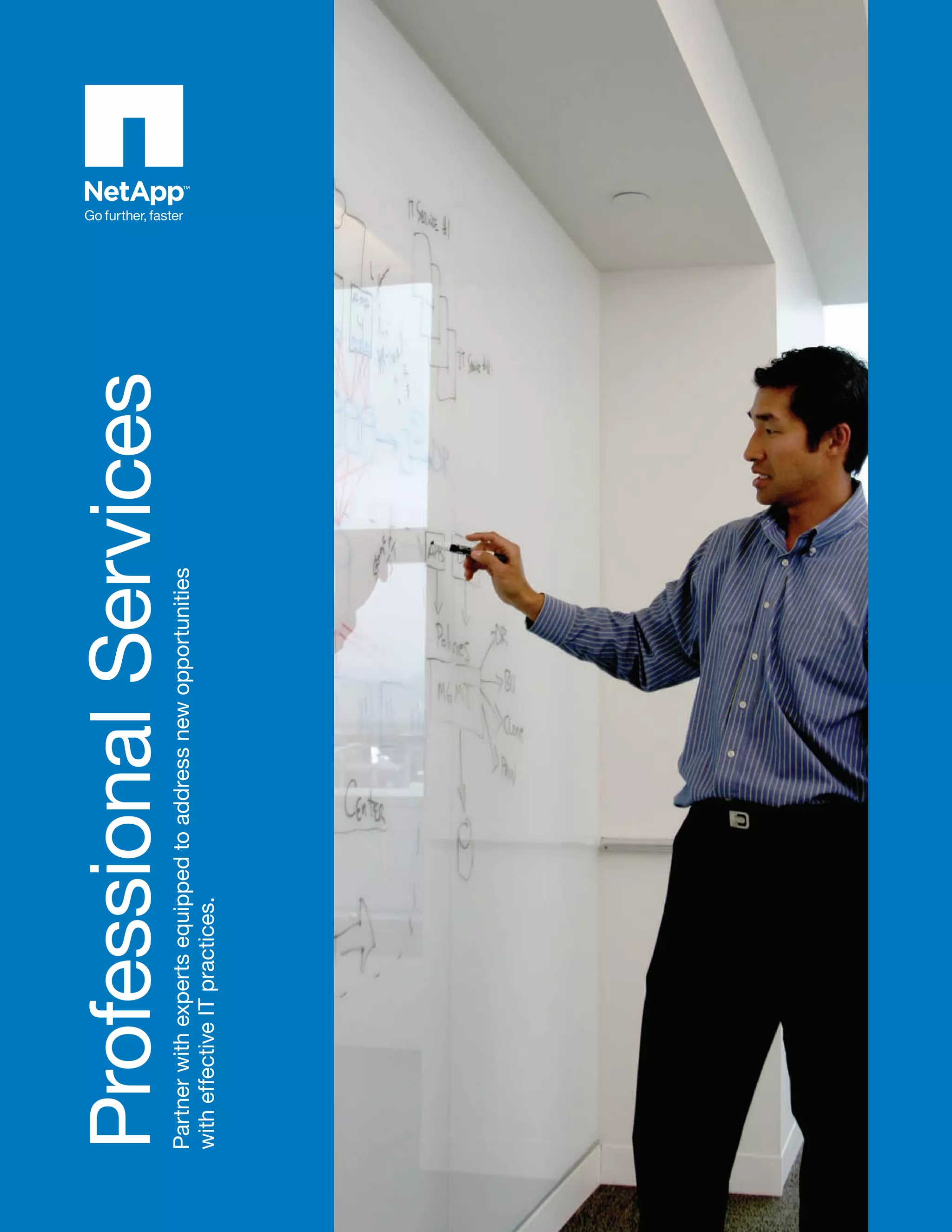 NetApp Professional Services Brochure | PDF