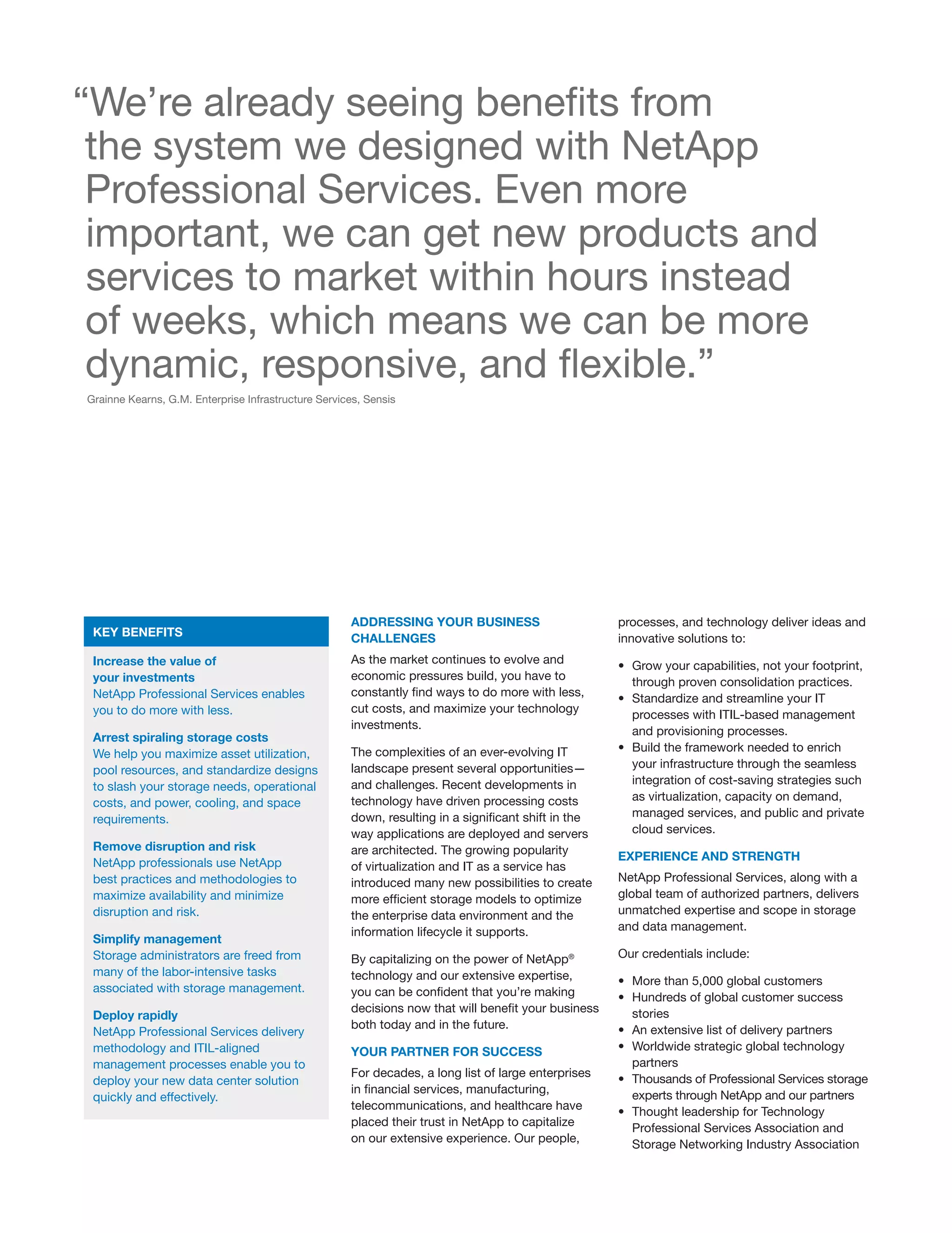 NetApp Professional Services Brochure | PDF