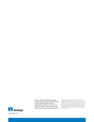 NetApp Professional Services Brochure | PDF