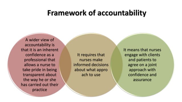 Professional accountability | PPT