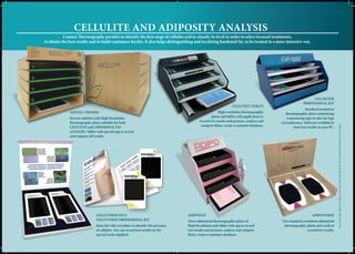 Professional aesthetic | PPT