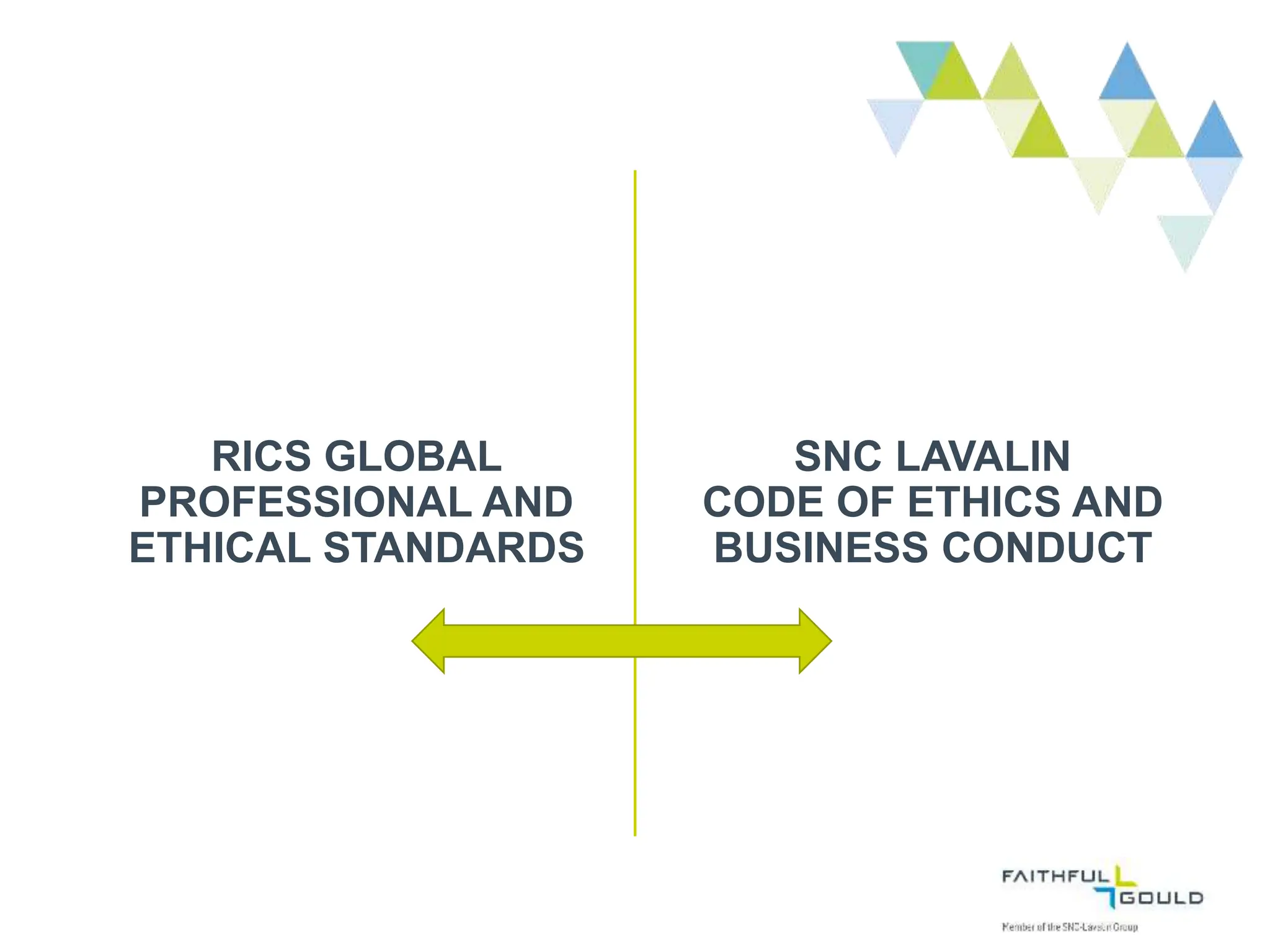Professional and Ethical Standards.pptx