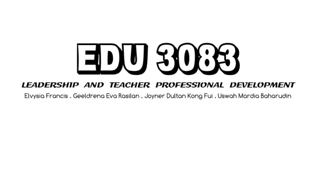 Professional and non professional | PDF