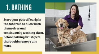 Professional Animal Grooming Services | PPT