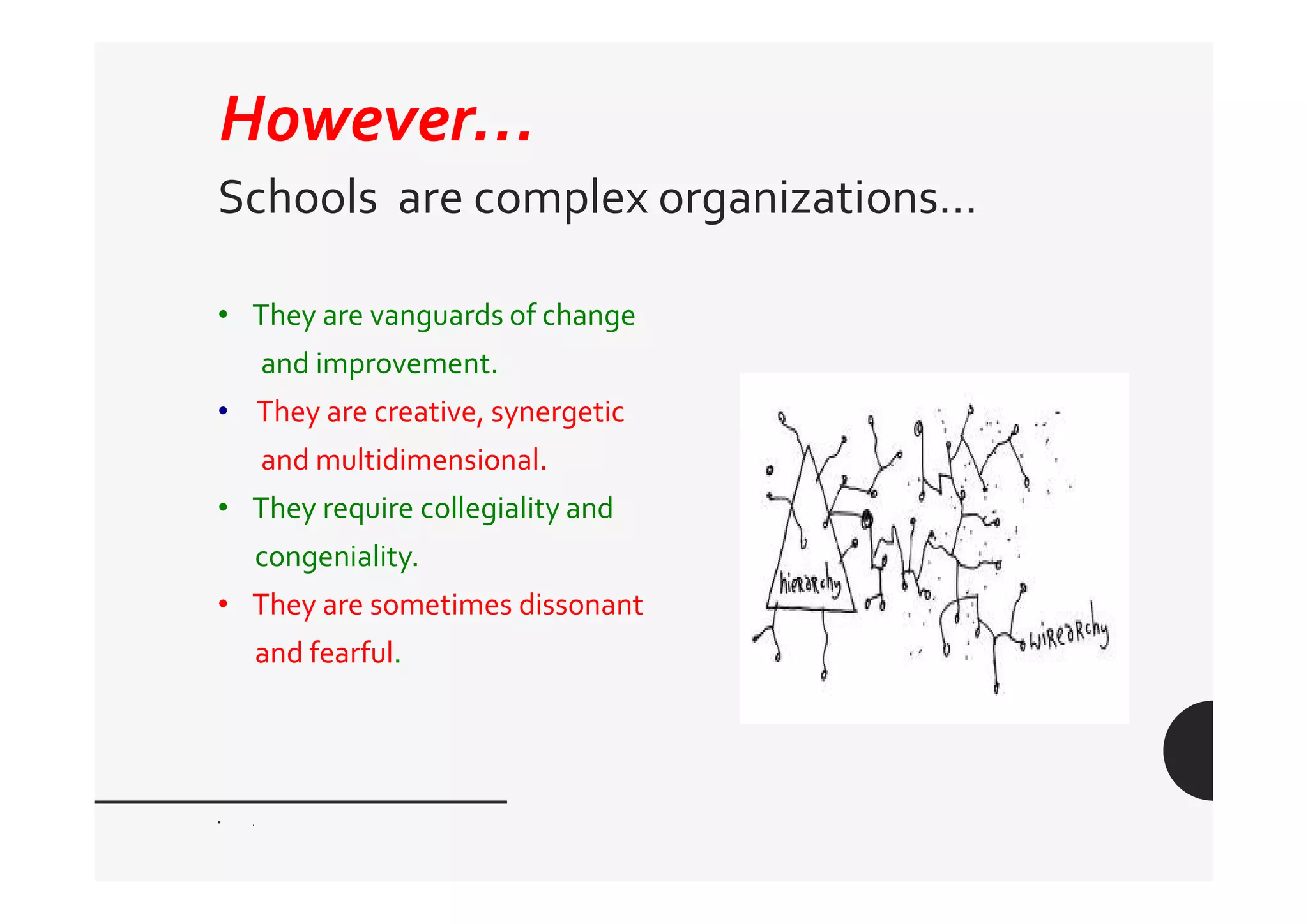 Professional Behaviour | PDF