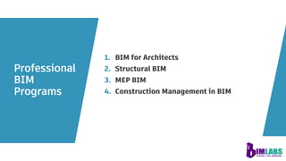 Professional BIM Program for Arch | Structural | MEP | Construction | PPT