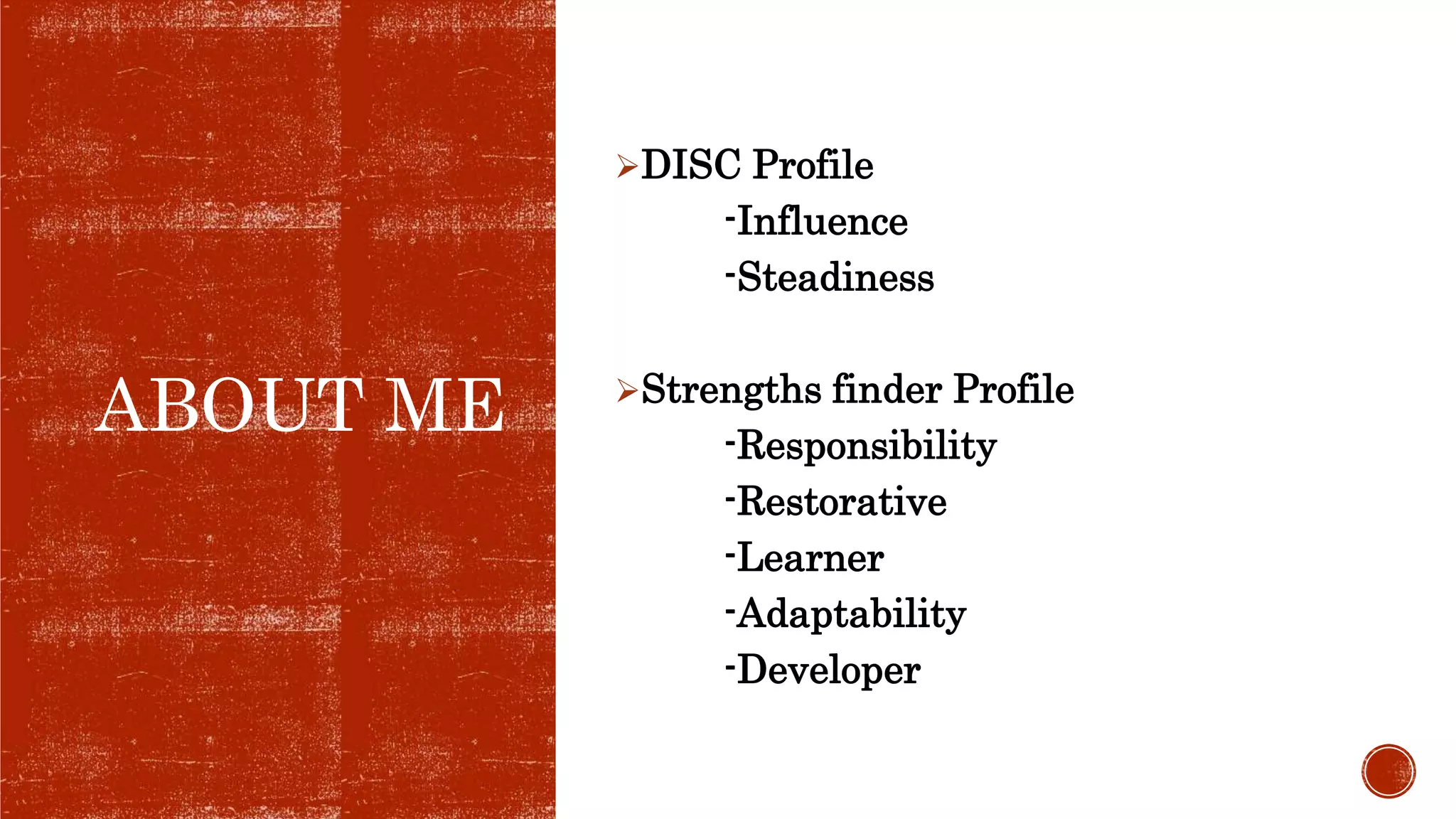 Professional Bio Powerpoint | PPT