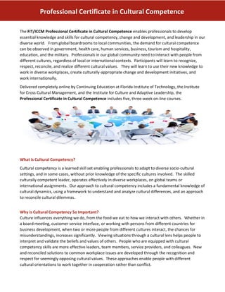 Professional Certificate in Cultural Competence 2017 | PDF
