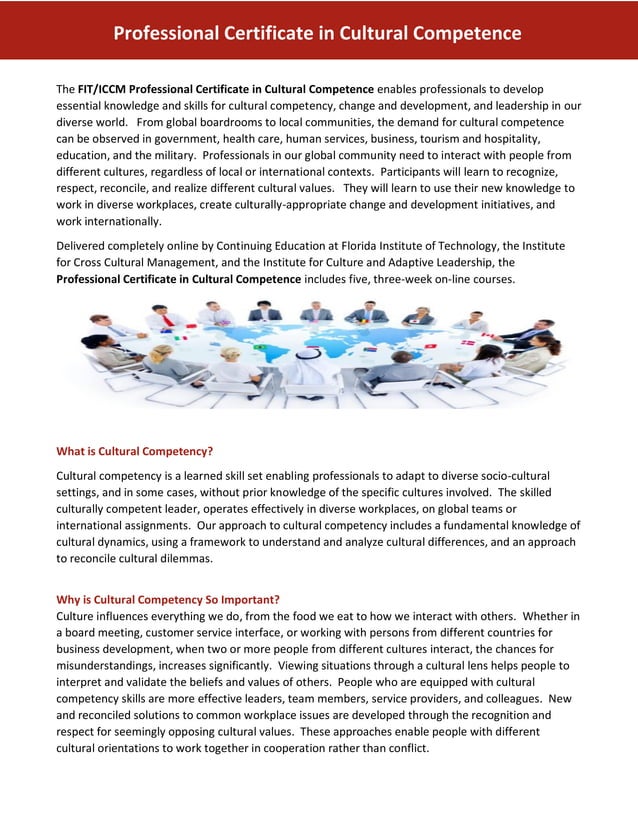 Professional Certificate in Cultural Competence 2017 | PDF