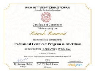 Professional Certificate Program in Blockchain | PDF