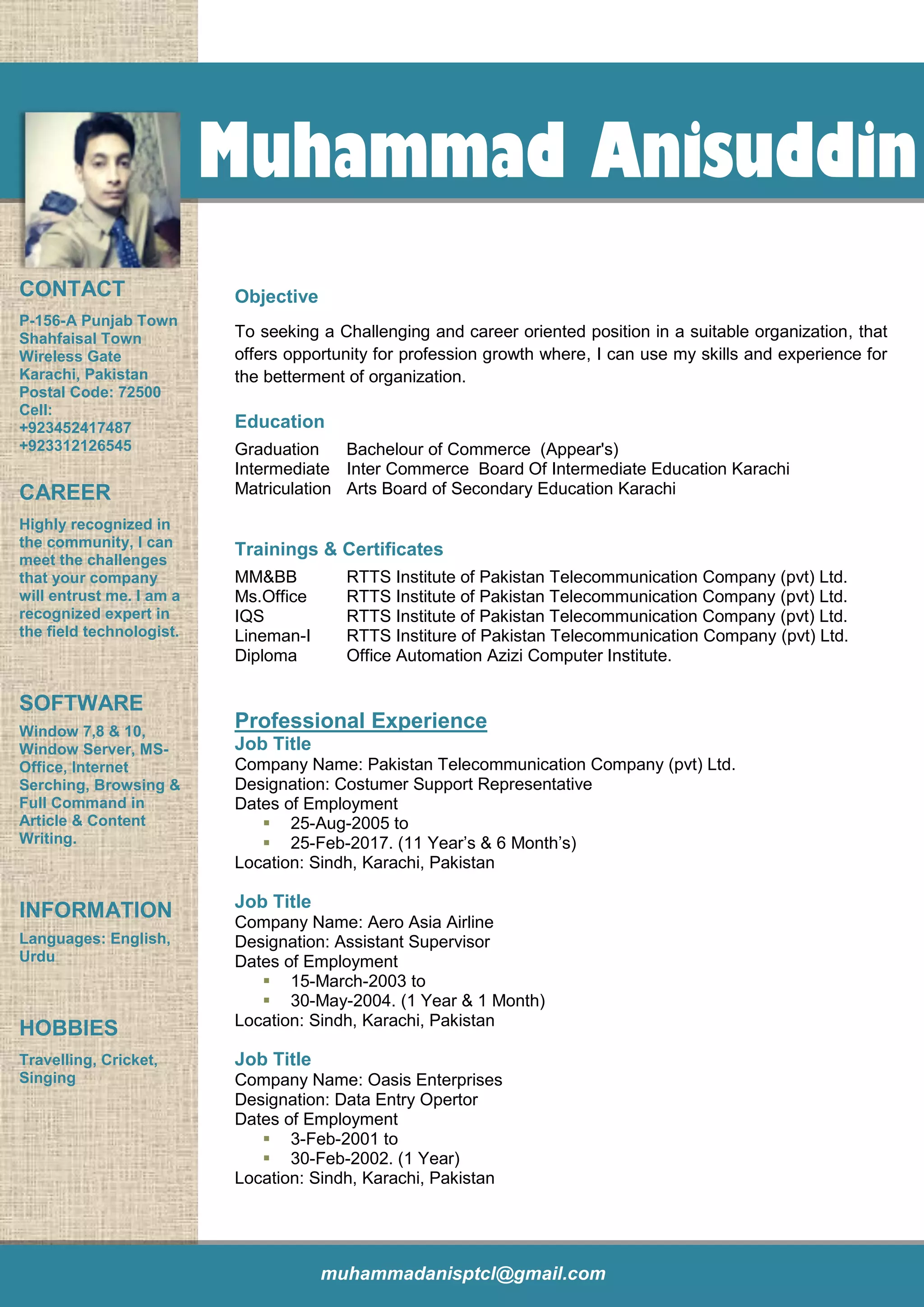 Professional cv | PDF