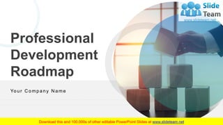 Professional Development Roadmap PowerPoint Presentation Slides | PDF