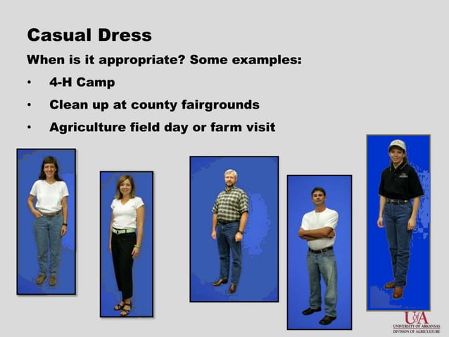 Professional Dress Standards 2010v3 | PPT