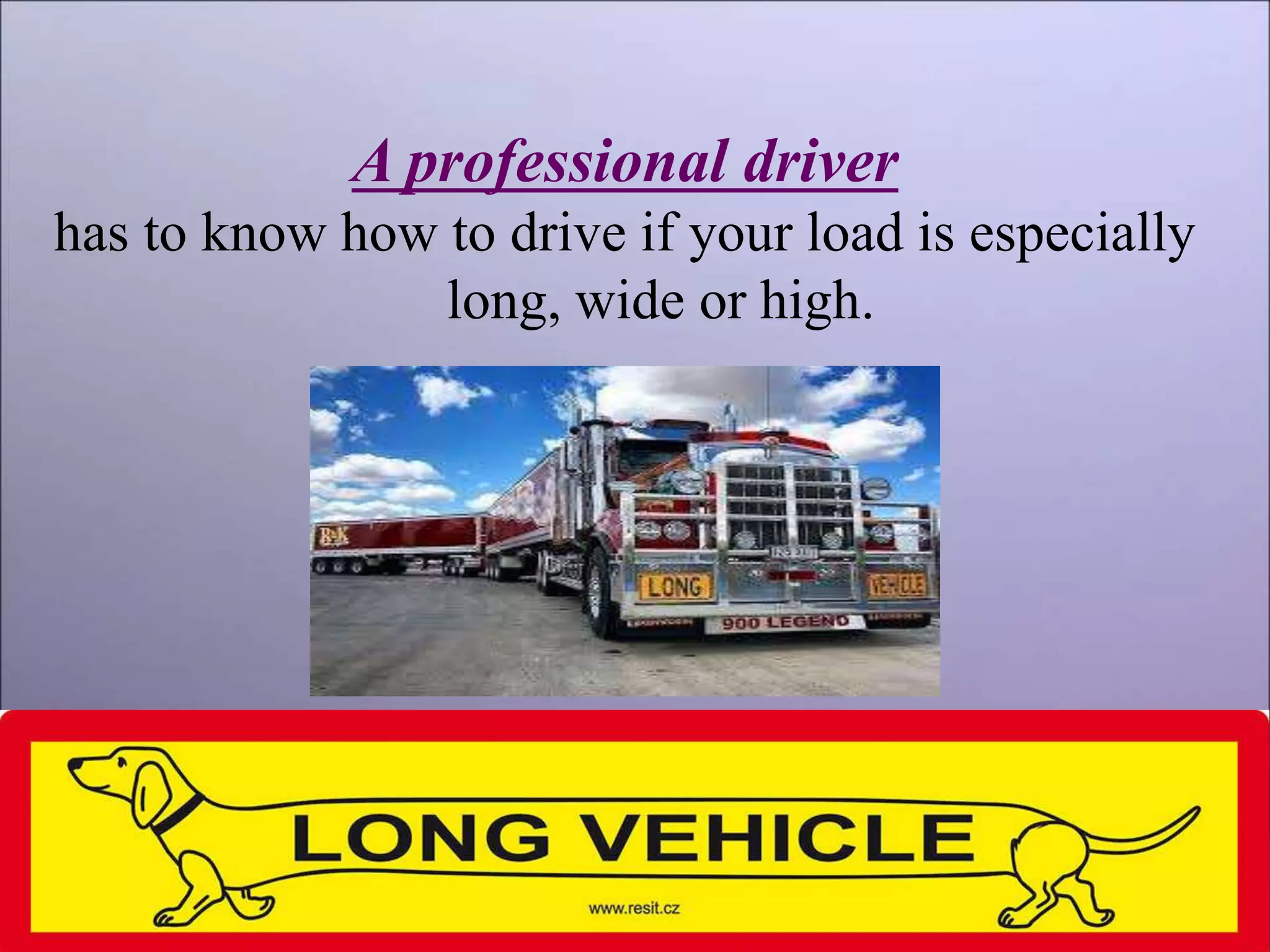 Professional driver 1 | PPT