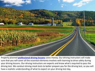 Professional driving lessons | PDF