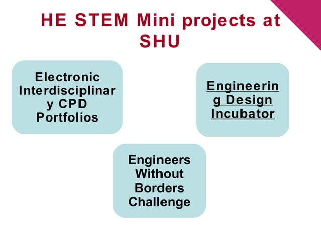 Professional engineering practice professor mike bramhall | PPT