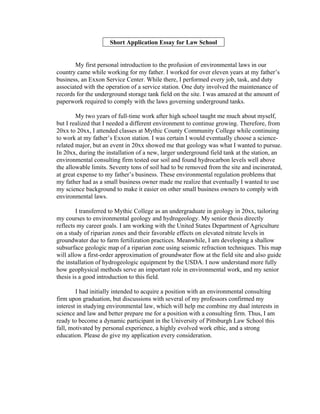 Professional essays | PDF