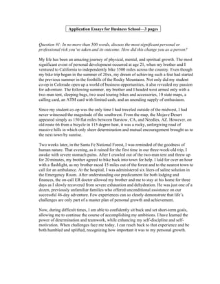Professional essays | PDF
