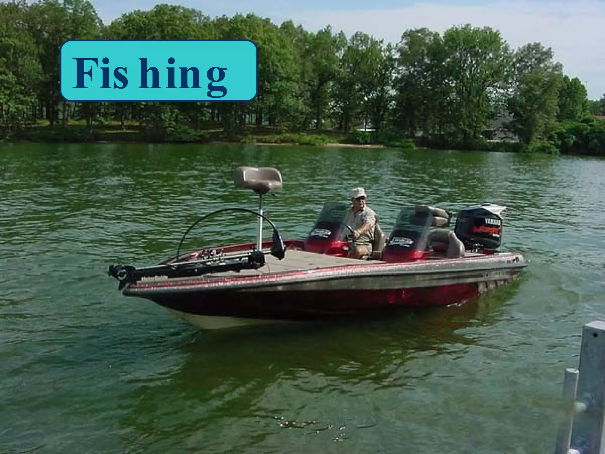 Professional Identity | PPT